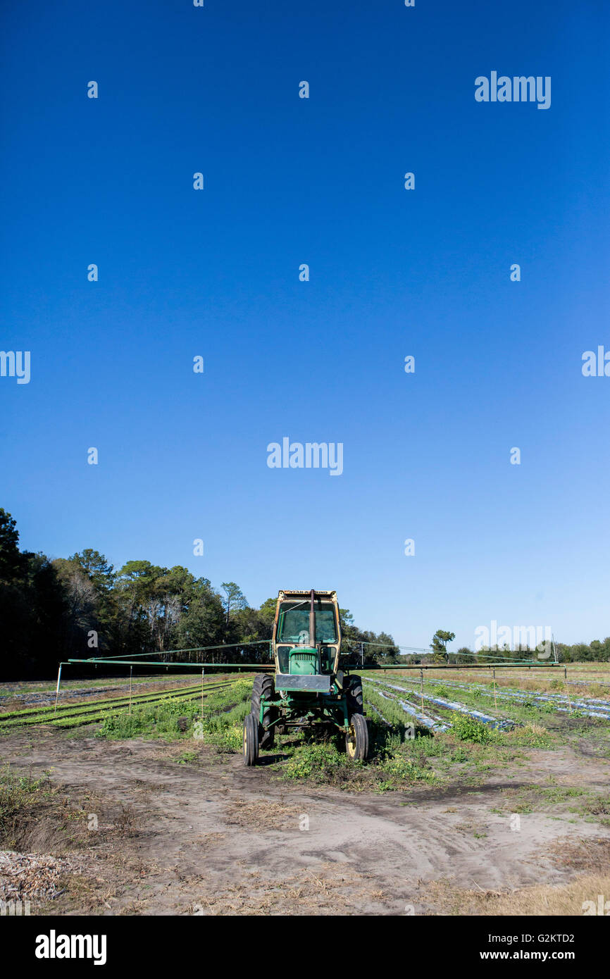 Tractor in Field on Farm Stock Photo - Alamy
