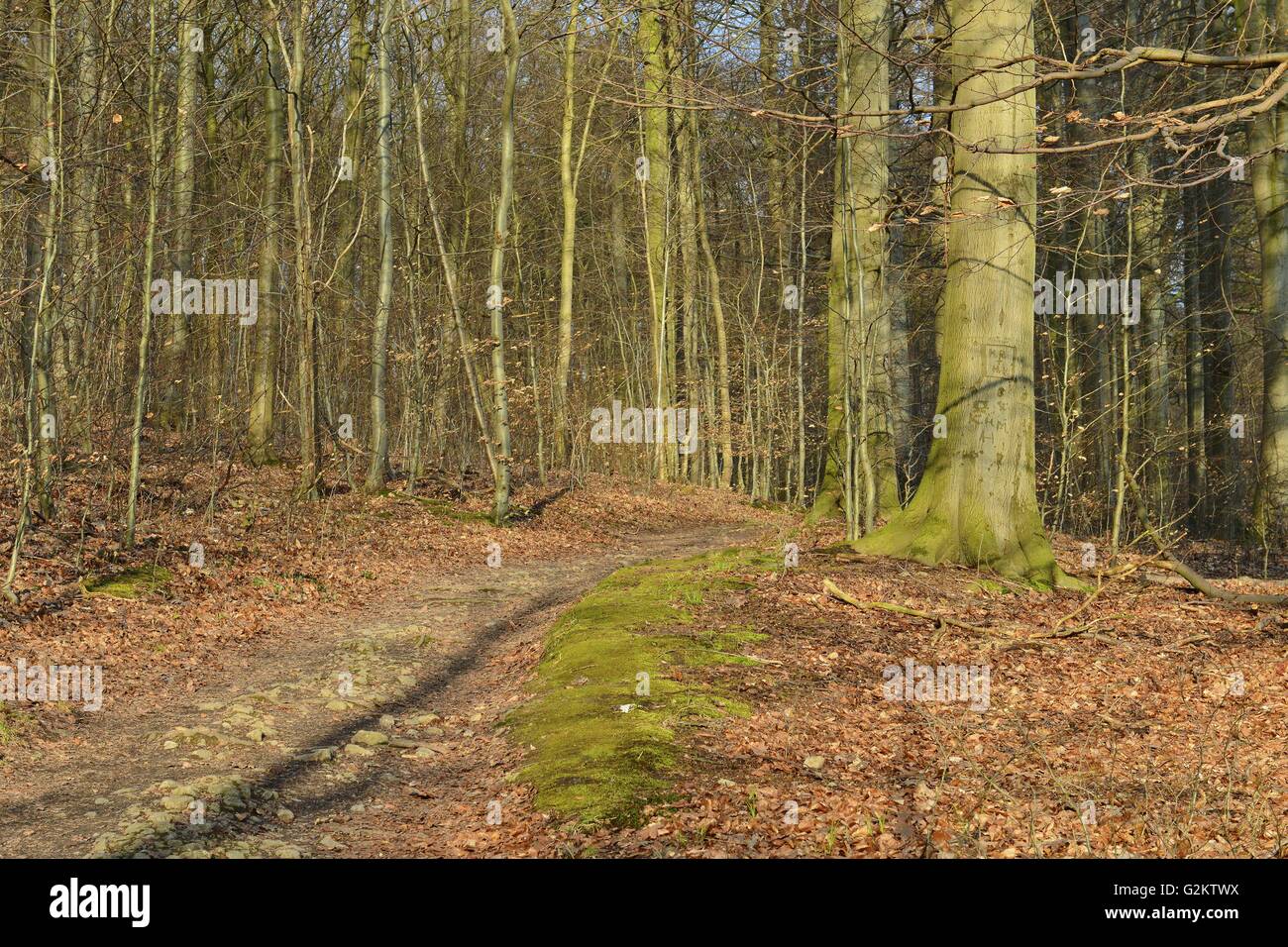 Steiniger hi-res stock photography and images - Alamy