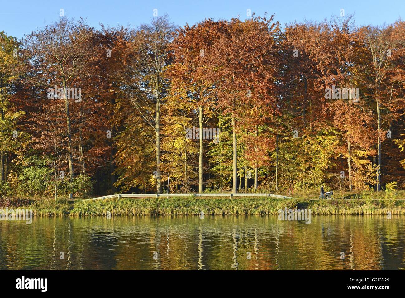Waterside walk of Midland Canal surrounded by trees with colourful ...