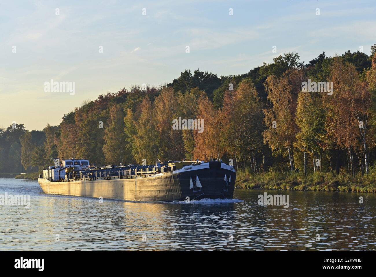 Old black cargo ship MS Yggdrasil in the sunlight with autumnally trees ...