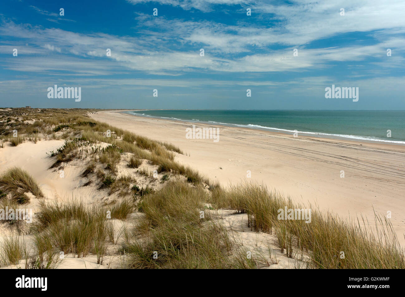 Dunes and natural beach, Doñana National Park , Almonte, Huelva ...