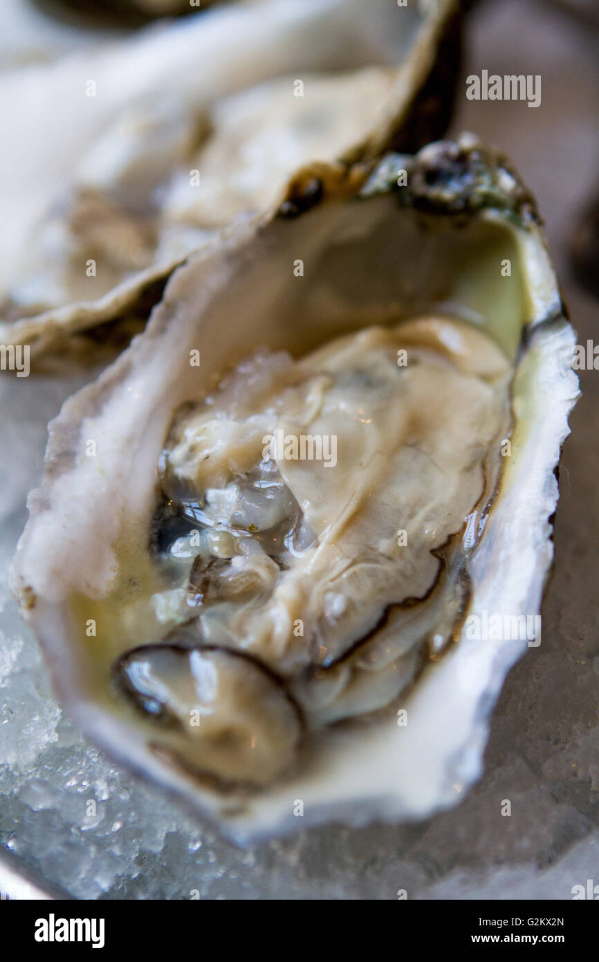 Close up of oyster nobody hi-res stock photography and images - Alamy