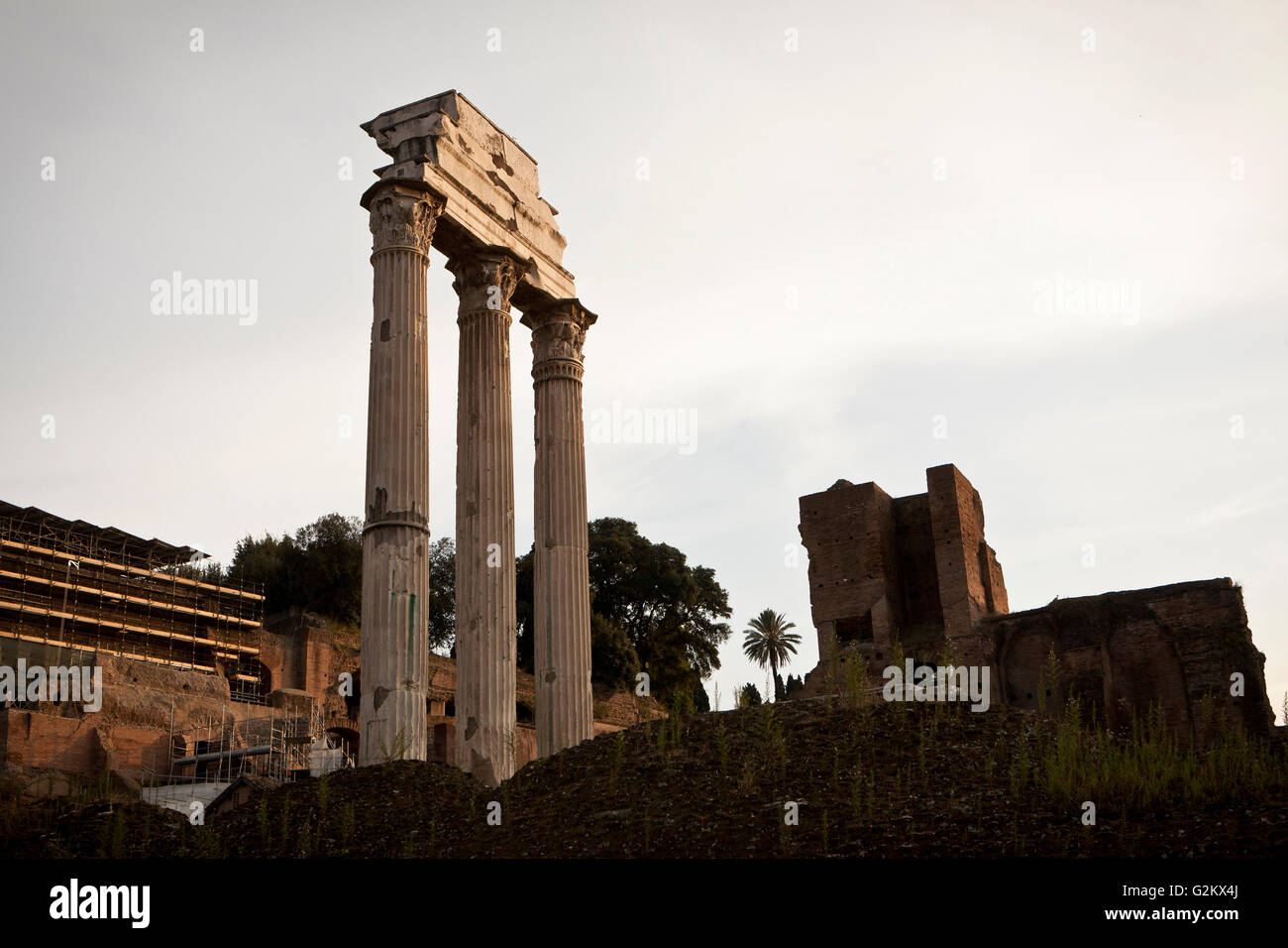 Columns and Ruins, Forum, Rome, Italy Stock Photo - Alamy