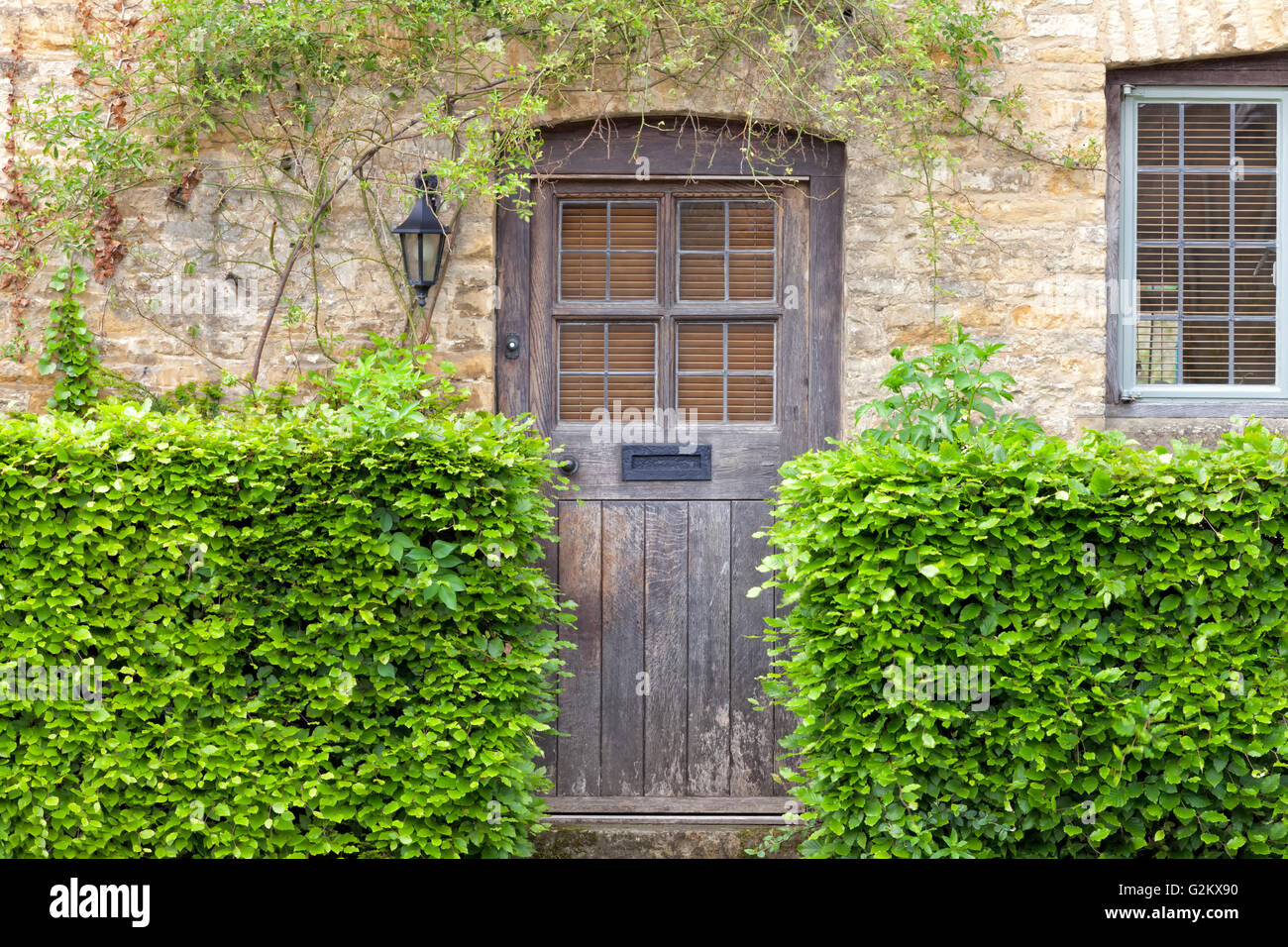 Beech hedge hi-res stock photography and images - Alamy