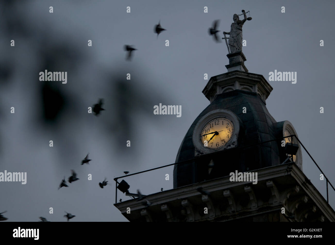 Birds Flying By Clock Tower Stock Photo - Alamy