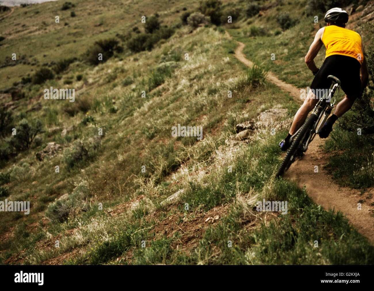 Mountainbiker on Single Track Stock Photo - Alamy