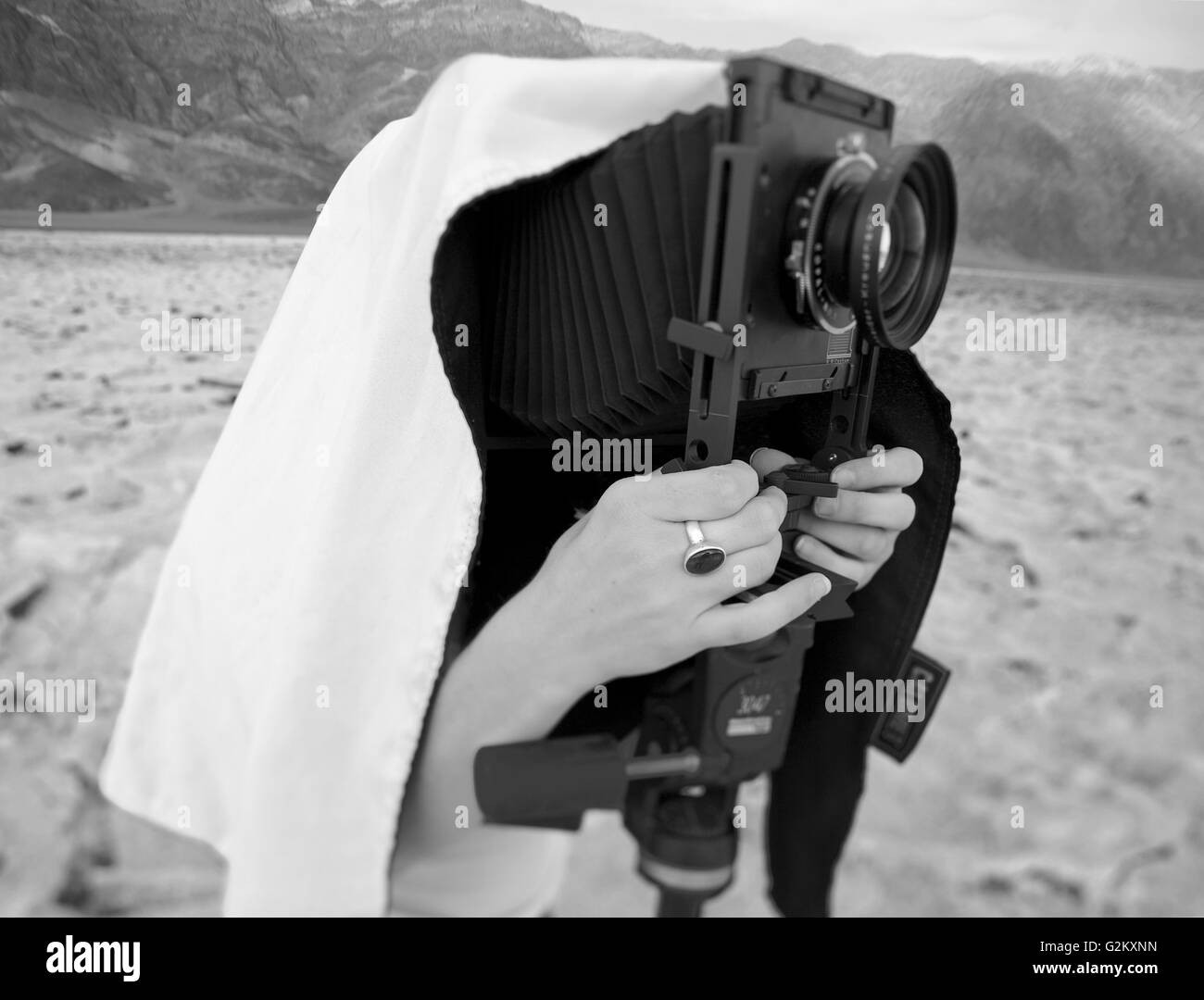 Woman Using Camera Stock Photo - Alamy