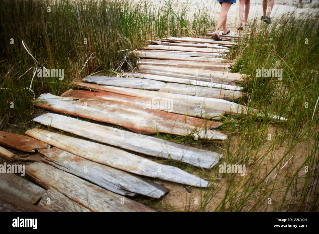 People Walking Across Wooden Planks to Beach Stock Photo - Alamy