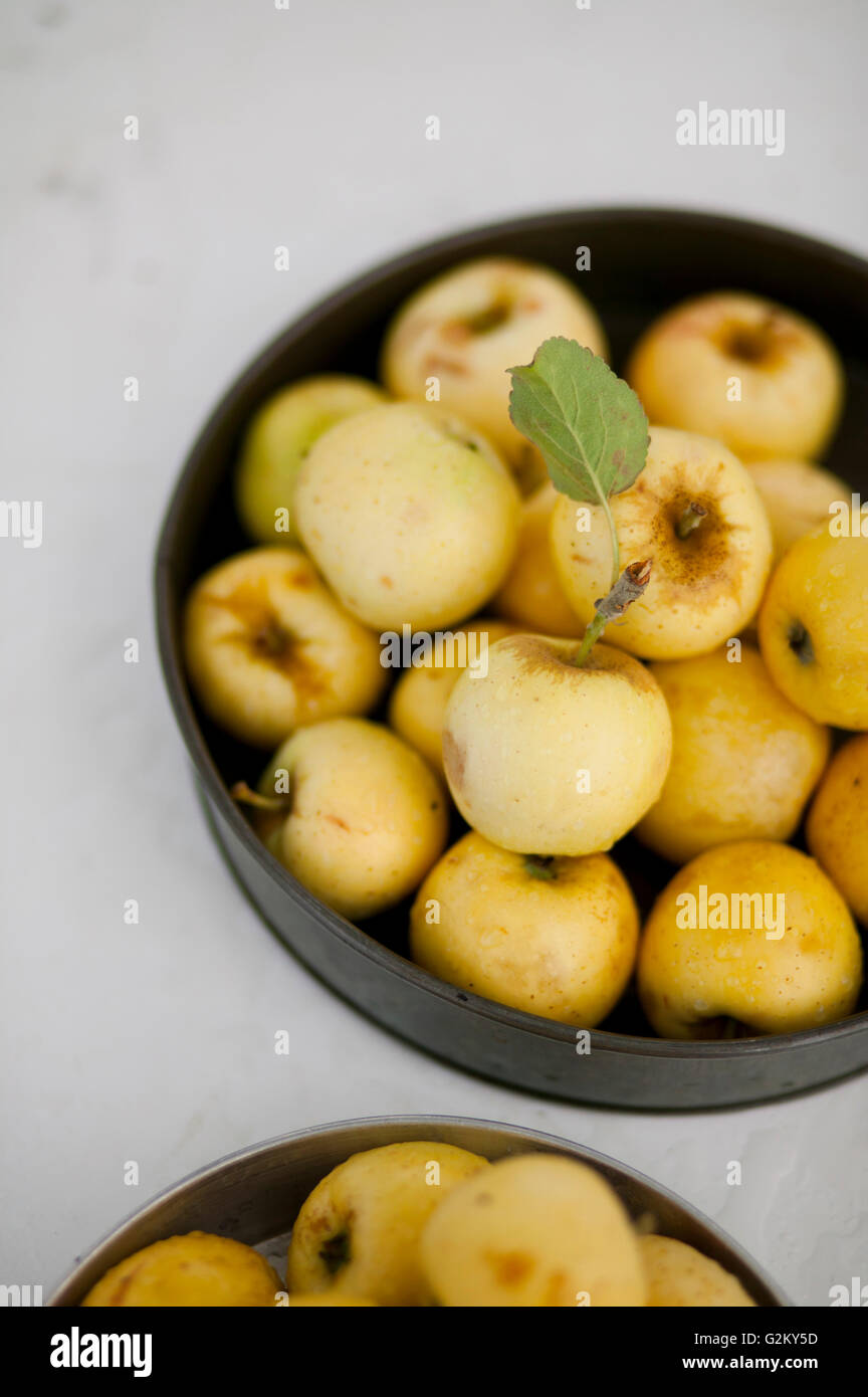 Yellow Orchard Apples Stock Photo - Alamy