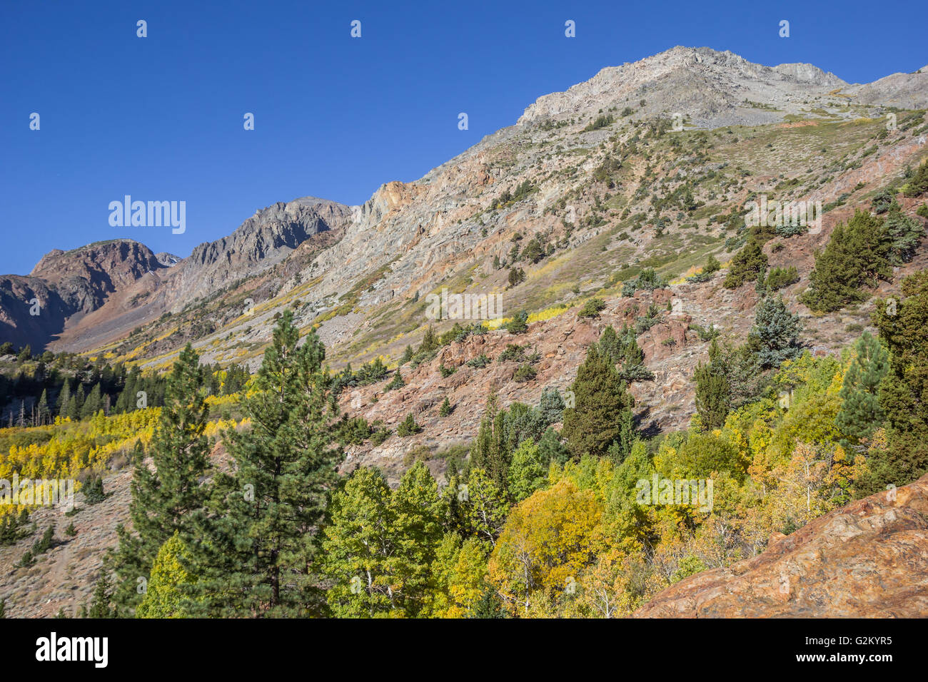 Mono fall colors hi-res stock photography and images - Alamy