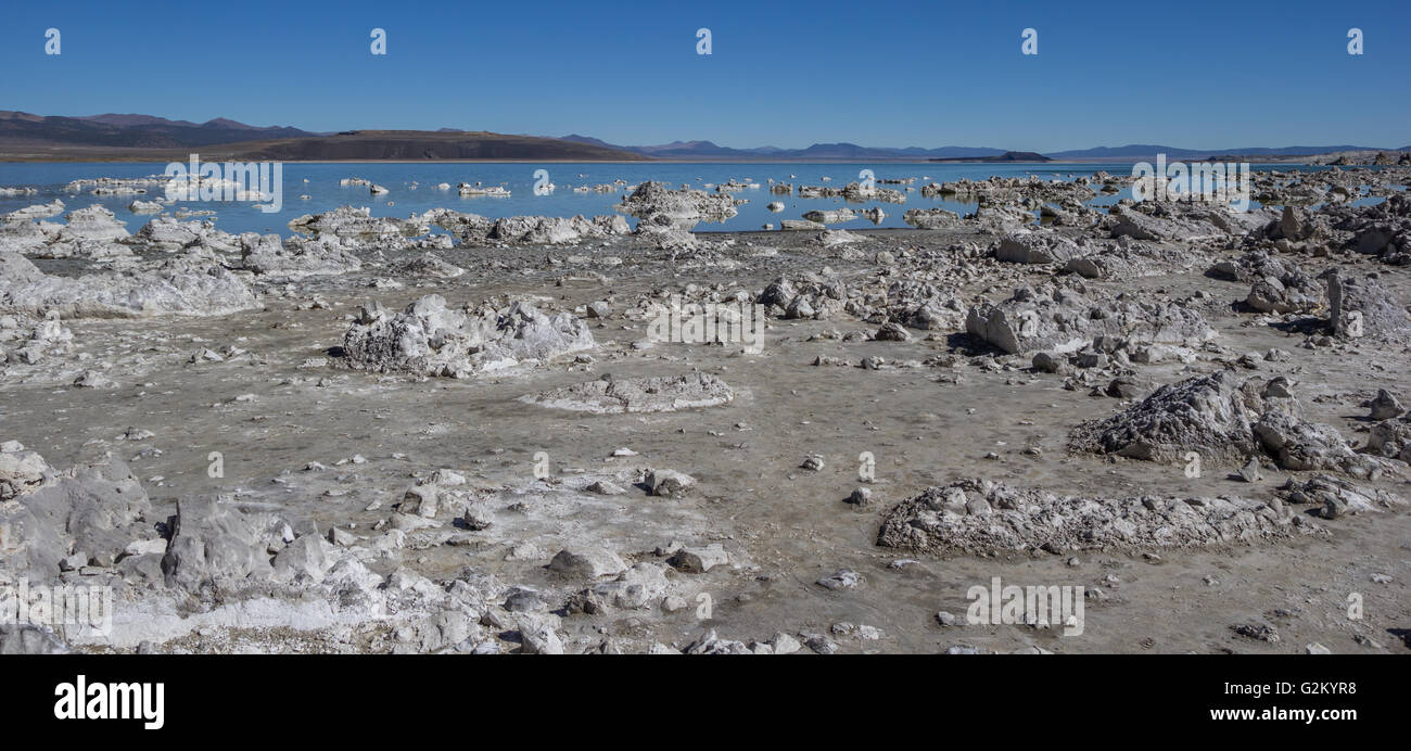 Salt concentration at Mono Lake in California, USA Stock Photo - Alamy