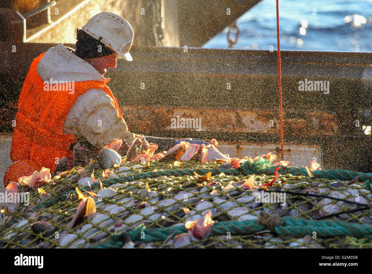 Fish net trawler catch hi-res stock photography and images - Alamy