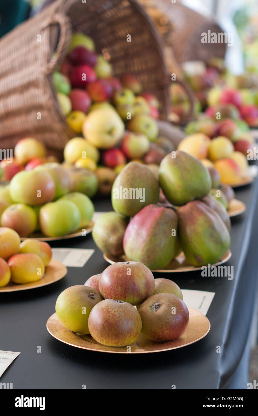 A selection of organic apples Stock Photo - Alamy