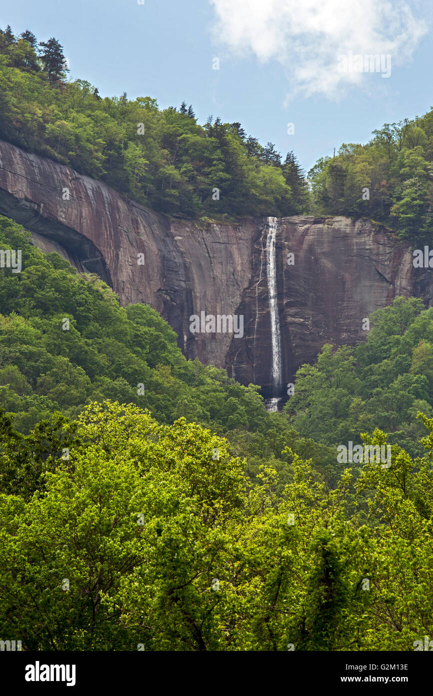 The Falls At Chimney Rock