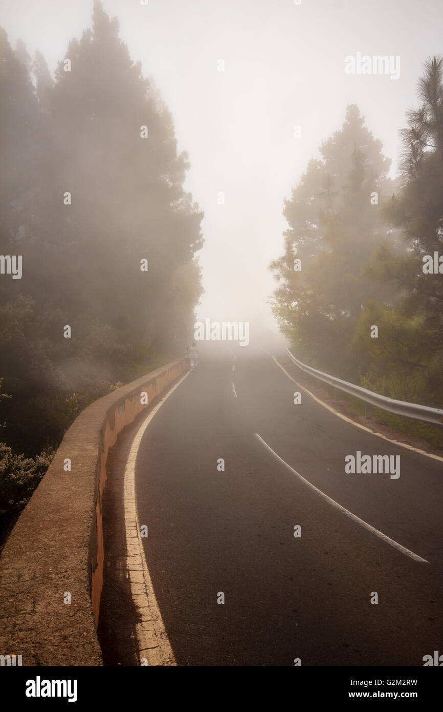 foggy road in forest - street in misty forest Stock Photo - Alamy