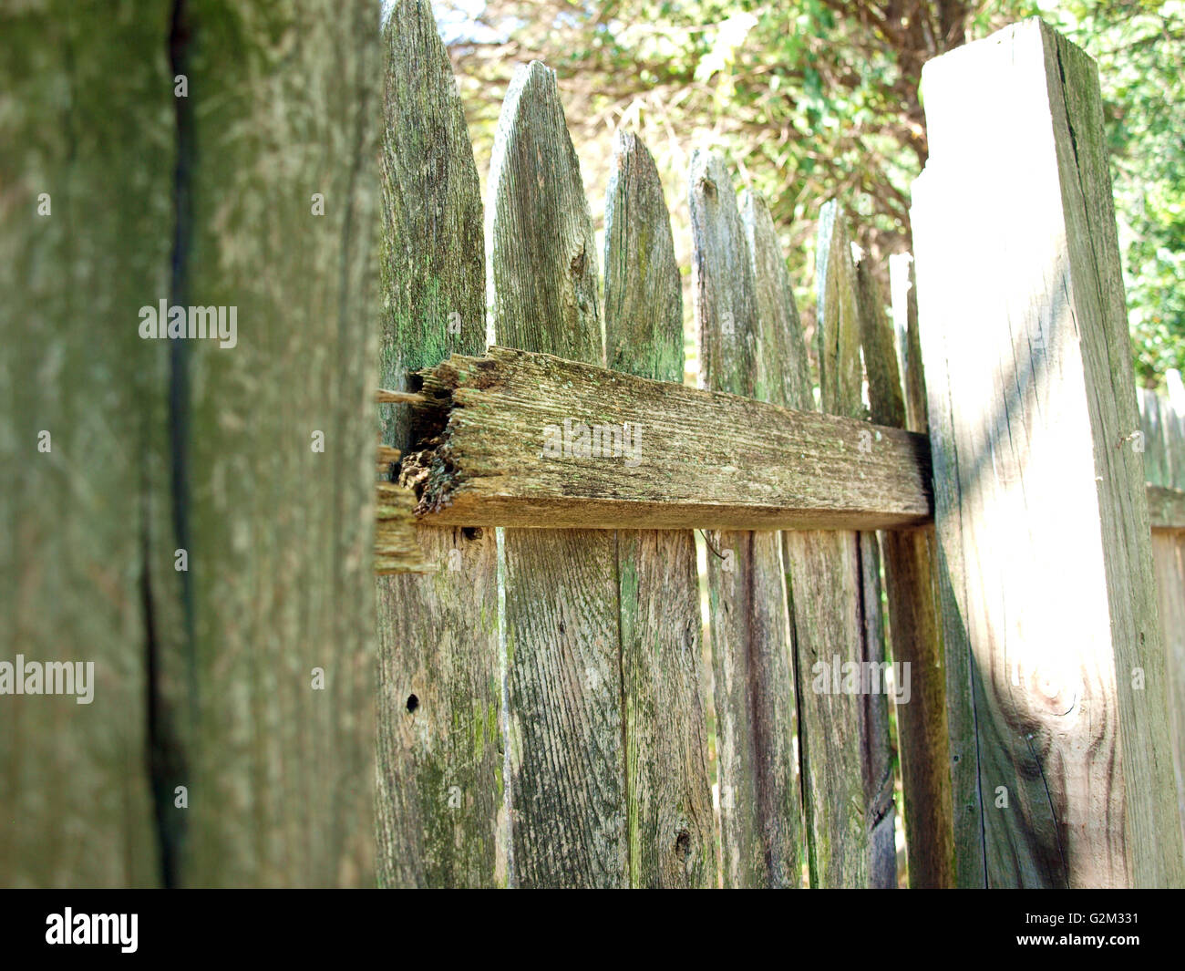 the damaged beam of a weather beaten wood picket fence that is dry ...