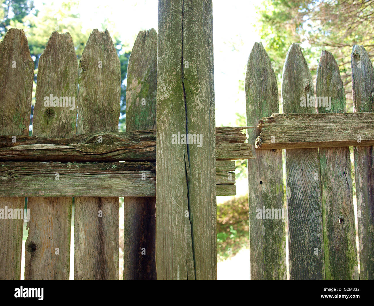 the damaged beams of a weather beaten wood picket fence that is dry ...