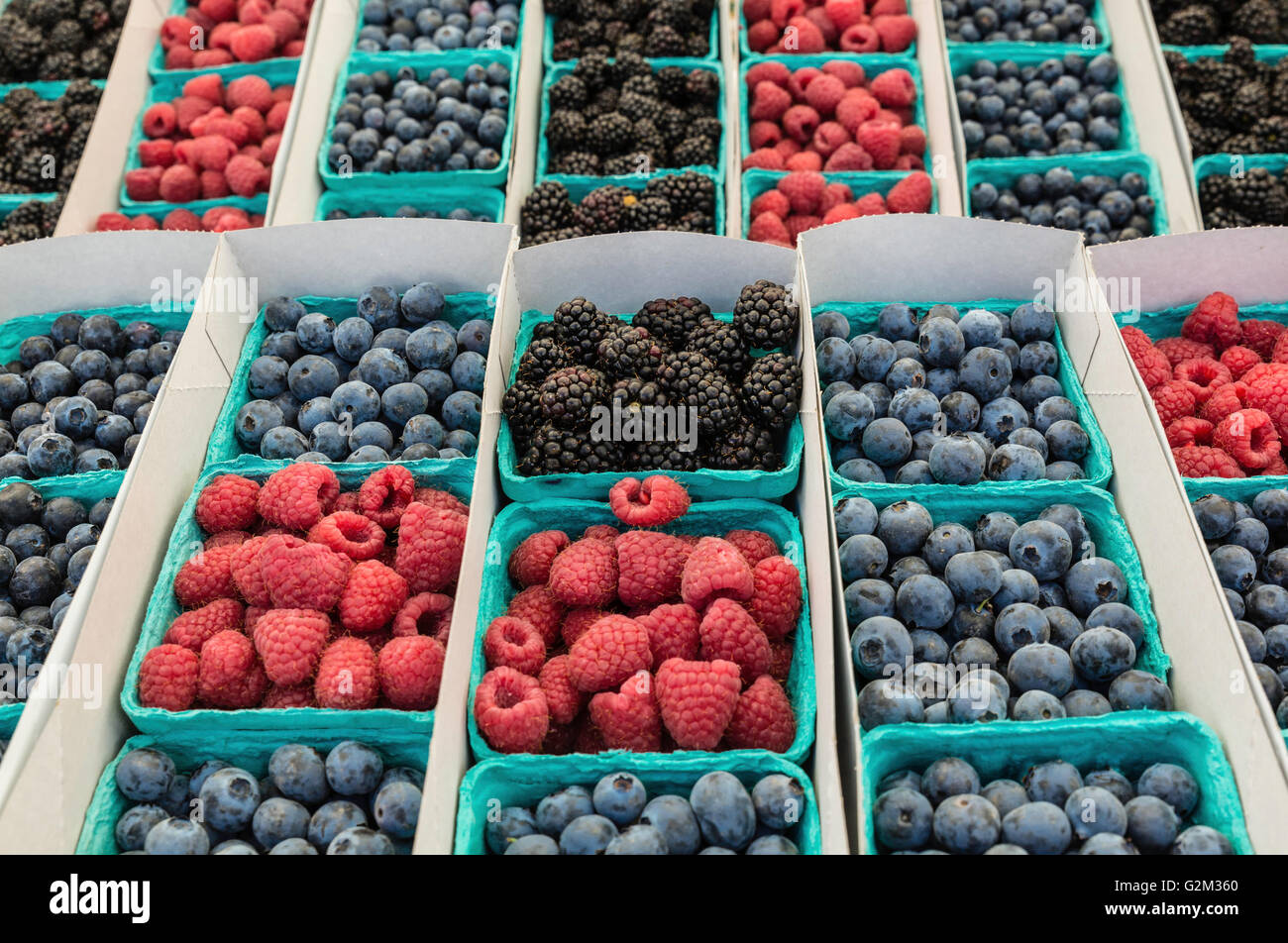 Fresh Organic Berries at the Farmers Market bursting with sweet flavors ...