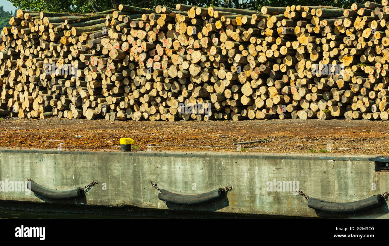Logs Ready For Loading High Resolution Stock Photography and Images - Alamy