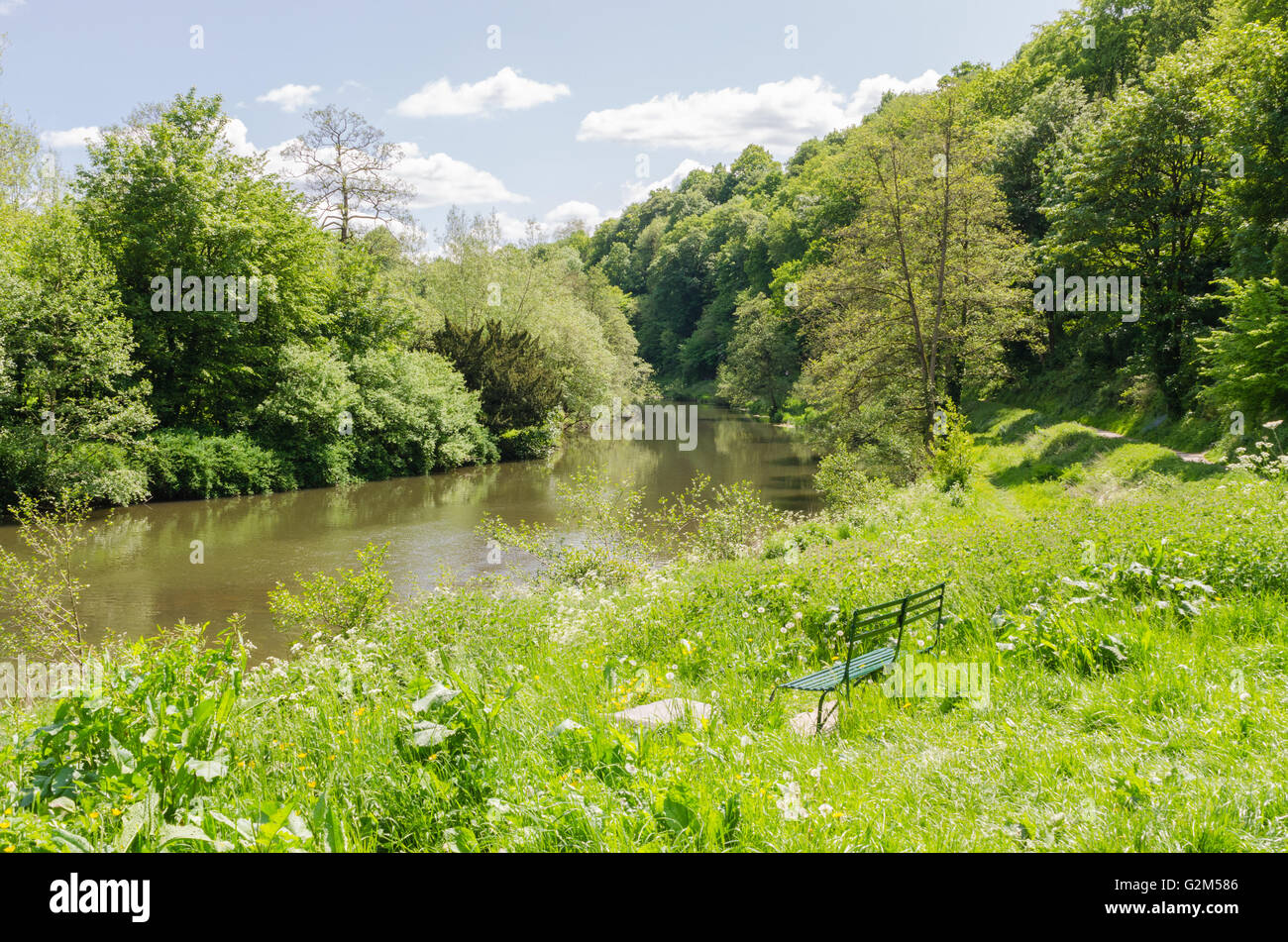 The River Teme at Dinham in Ludlow flowing through trees and fields ...