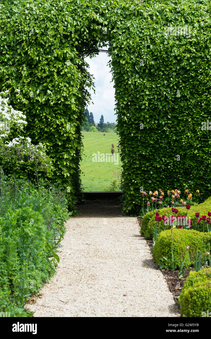 Beech hedge trees hi-res stock photography and images - Alamy