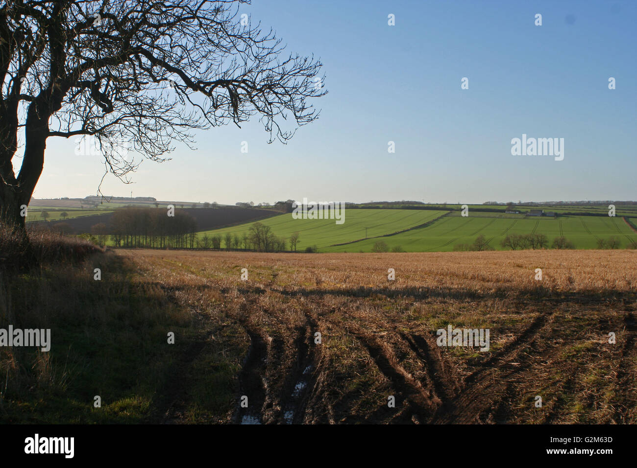 Wolds and moors hi-res stock photography and images - Alamy