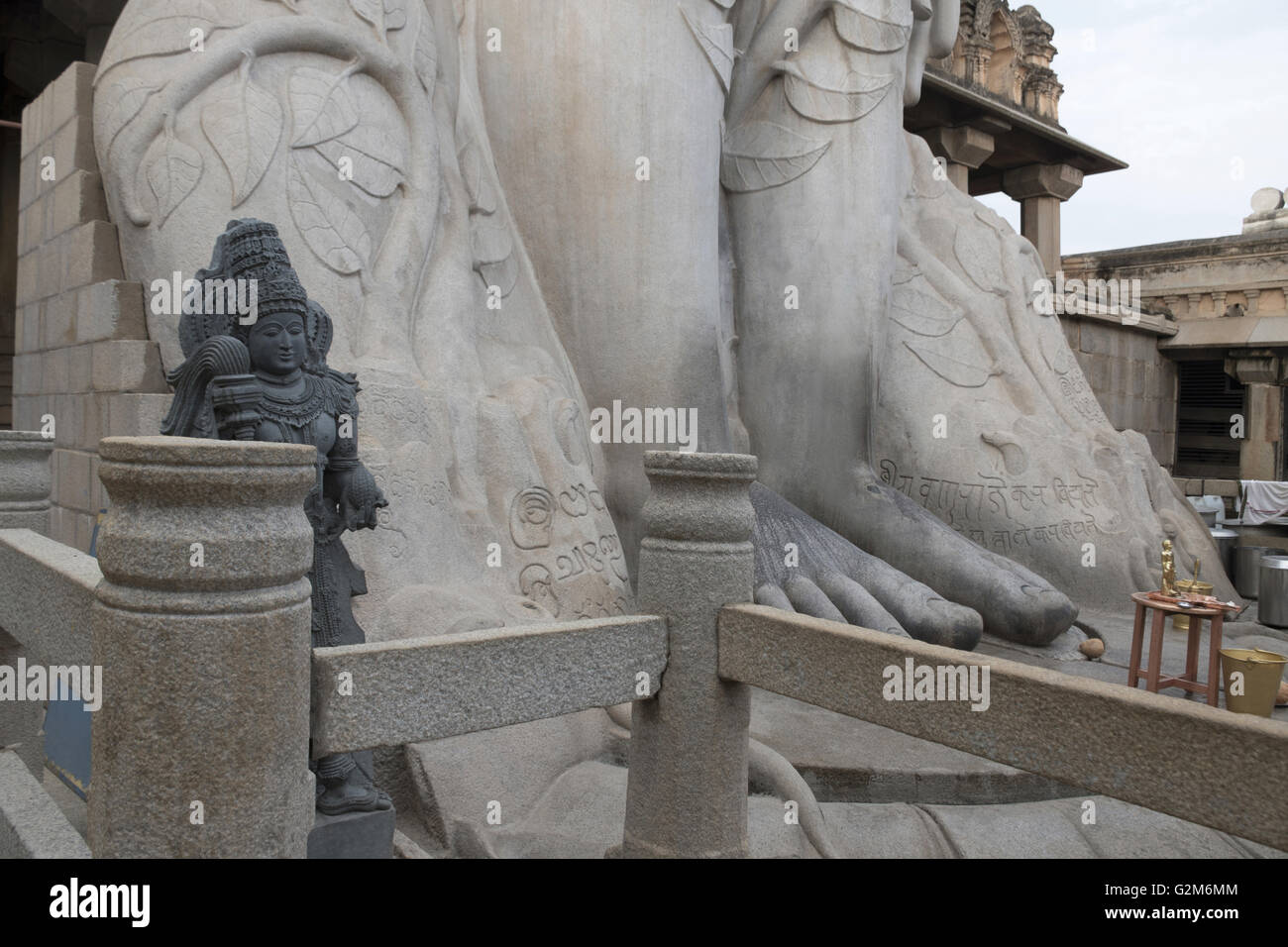 Close up of feet of the statue of Bahubali, also known as Gomateshwara ...