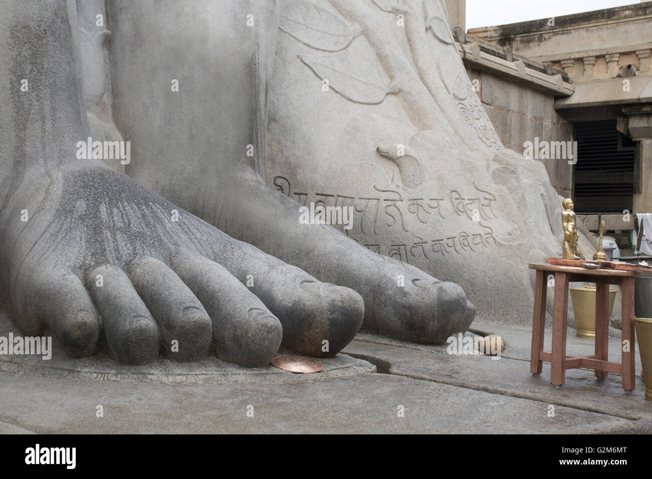 Close up of feet of the statue of Bahubali, also known as Gomateshwara ...