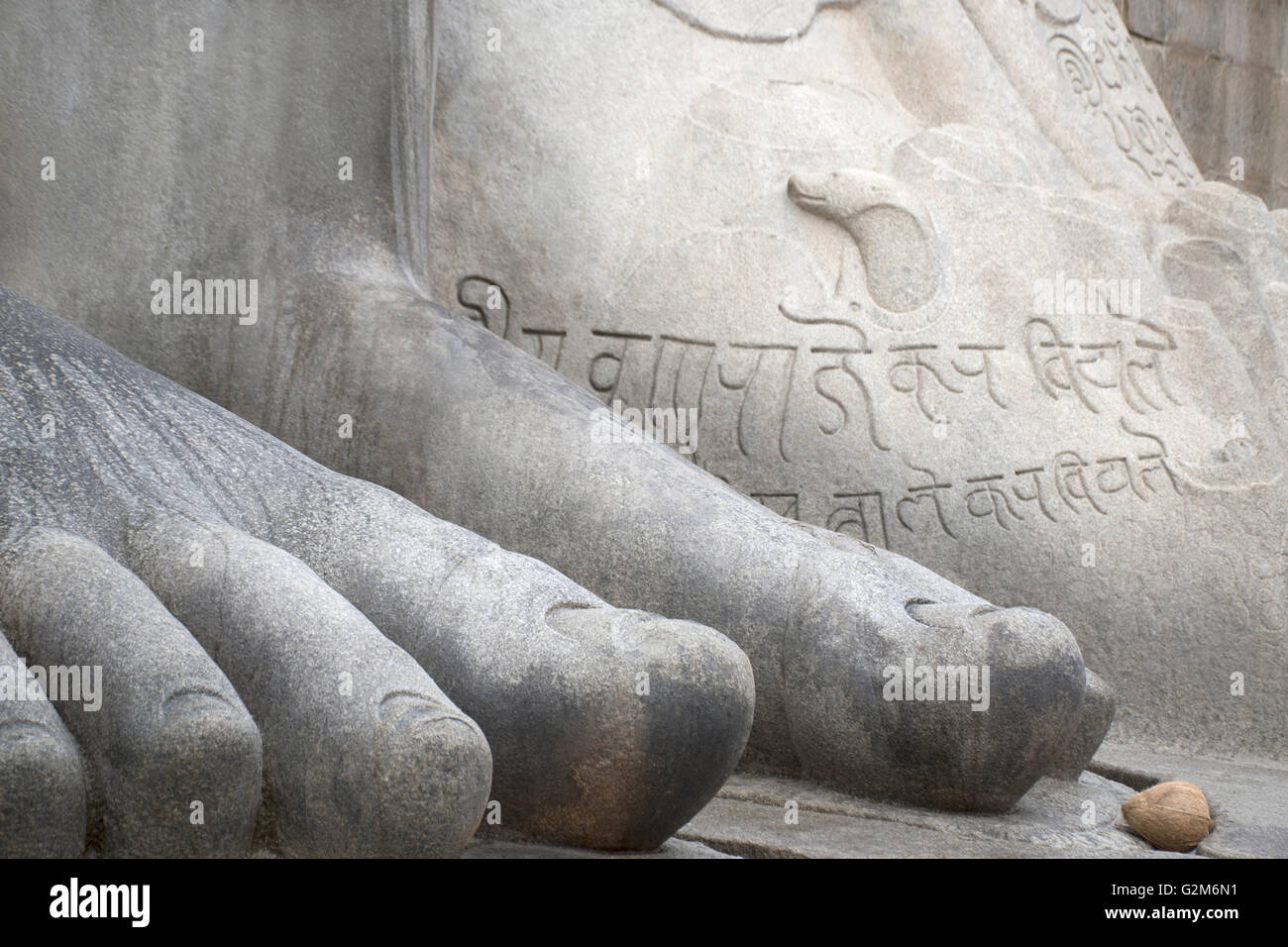 Close up of feet of the statue of Bahubali, also known as Gomateshwara ...