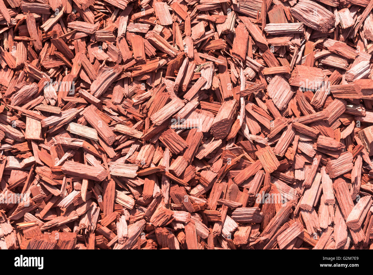 Maple wood chips hi-res stock photography and images - Alamy