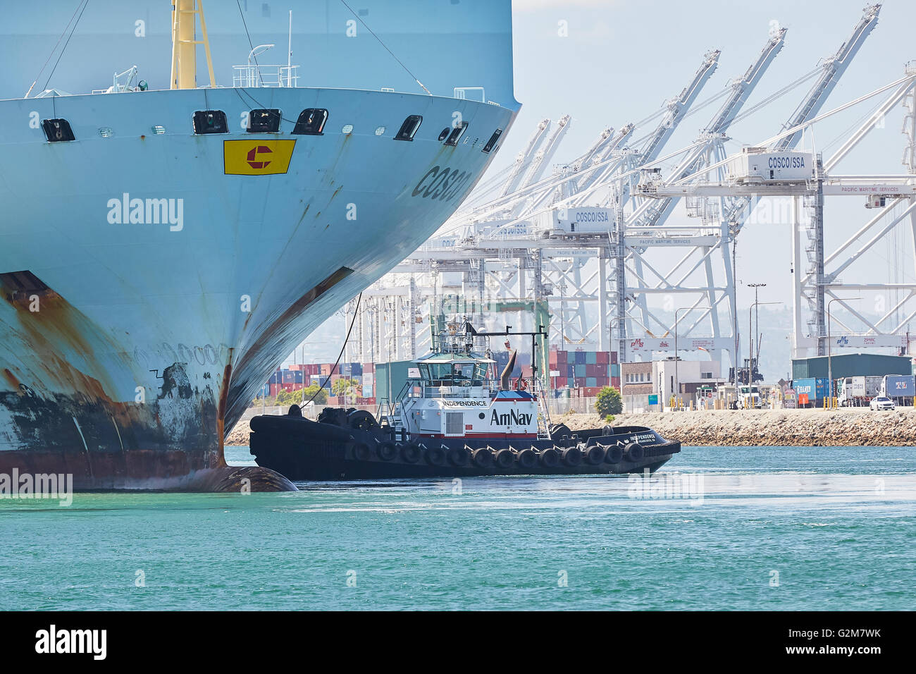 AmNav Tractor Tug Eases The COSCO Ningbo Onto Her Berth At The Long ...