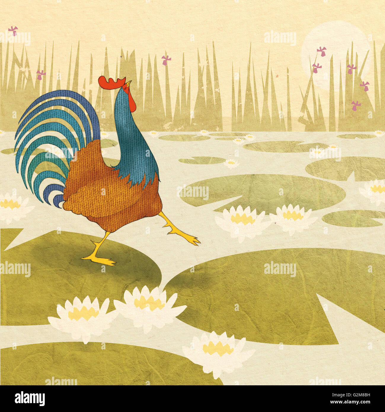 Rooster walking on leaves on water Stock Photo - Alamy