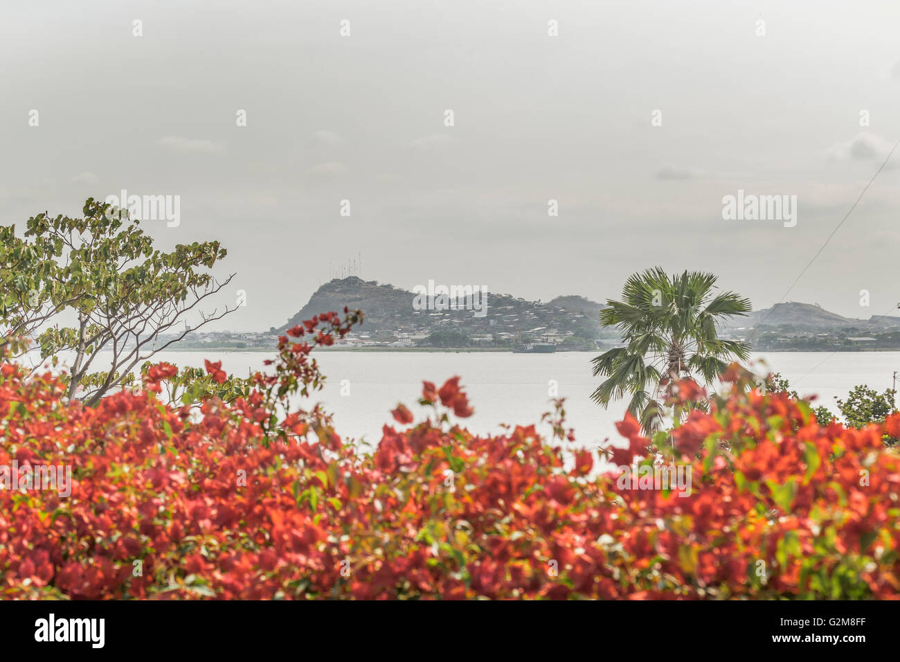 Guayas river and hill view from the boardwalk of Puerto Santa Ana in ...