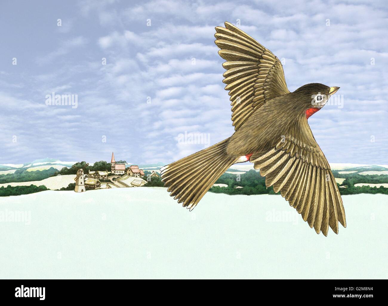 Wings scene illustration hi-res stock photography and images - Alamy