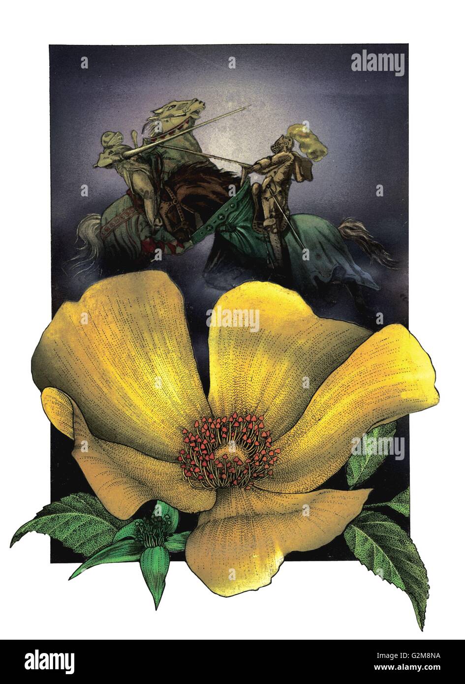 Fighting plant hi-res stock photography and images - Alamy