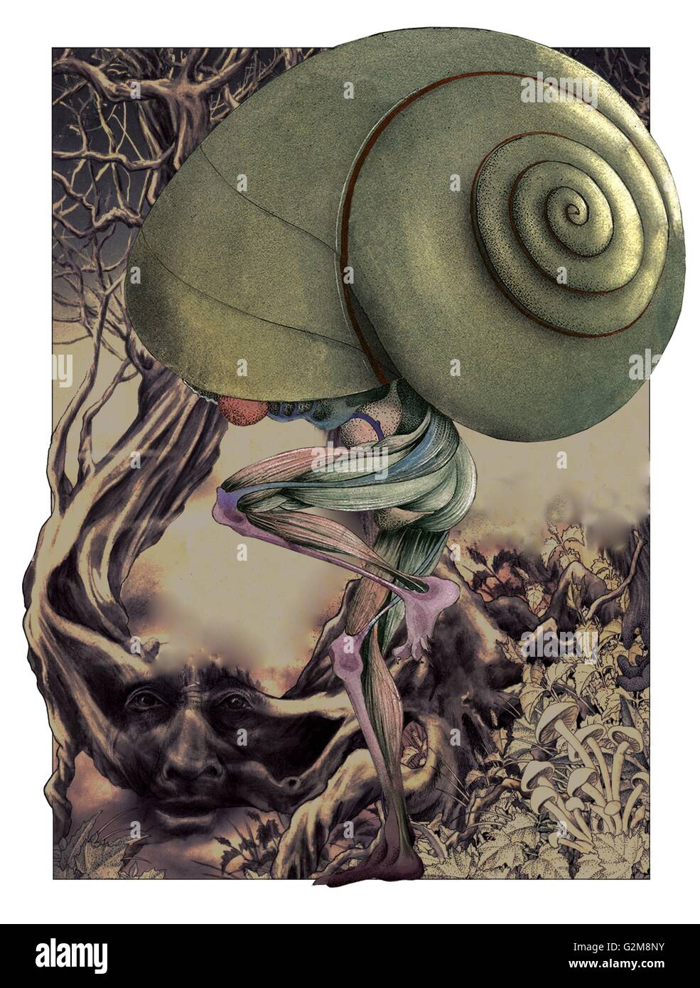 Dreamlike creature hi-res stock photography and images - Alamy