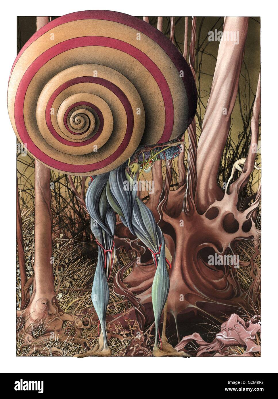 Artistic snail hi-res stock photography and images - Alamy