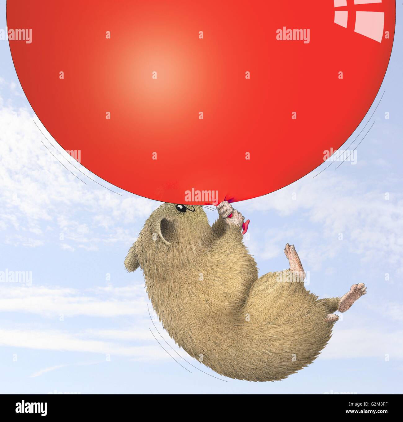 Balloon section hi-res stock photography and images - Alamy