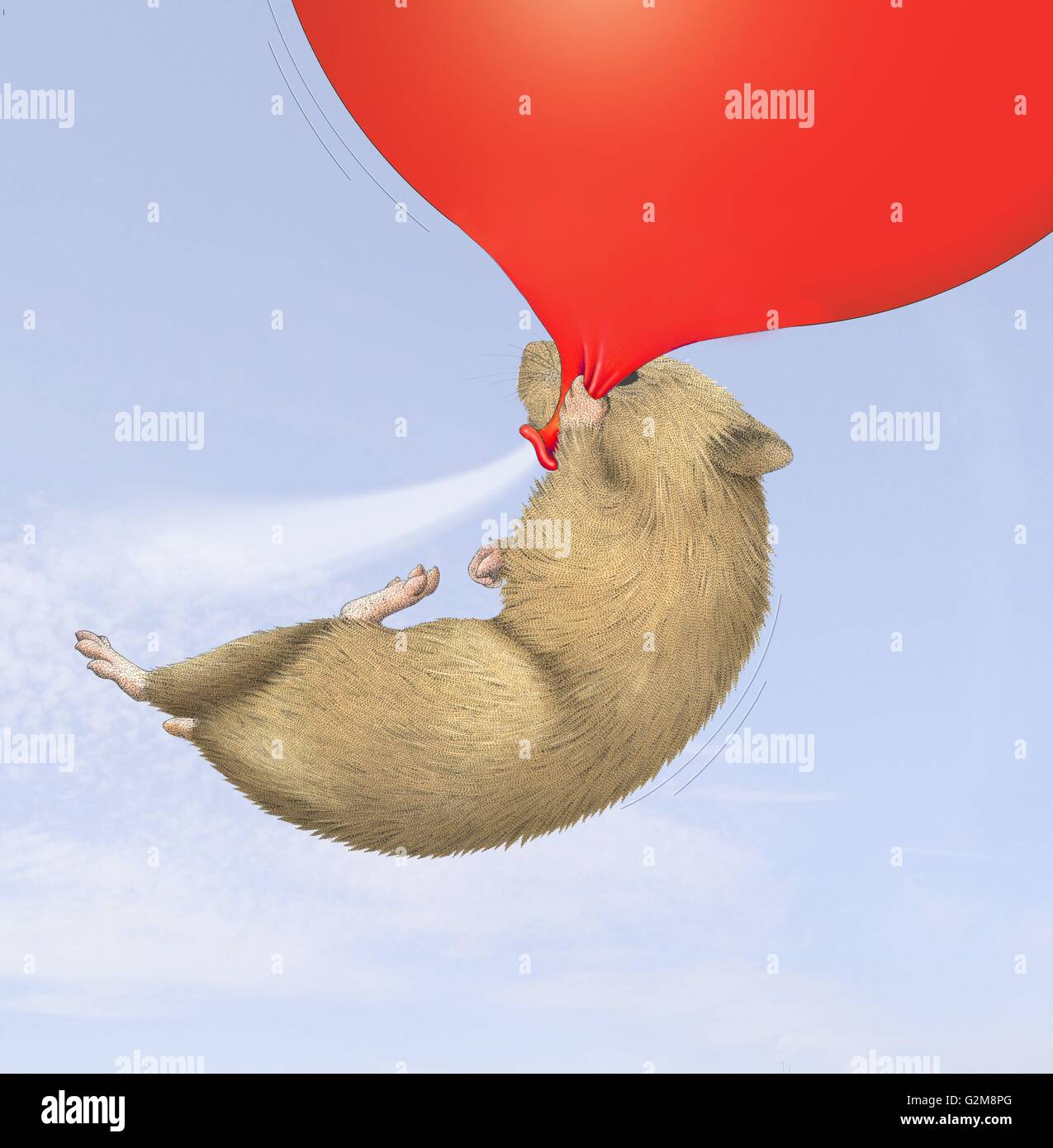 Balloon section hi-res stock photography and images - Alamy