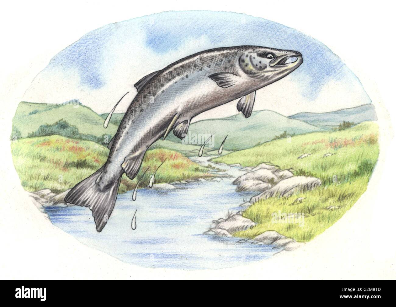 Flying fields Cut Out Stock Images & Pictures - Alamy