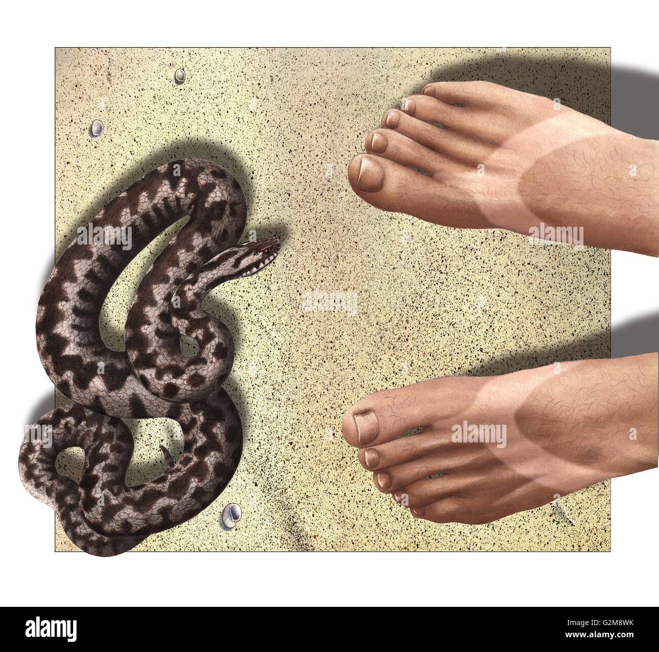 Barefeet beach Cut Out Stock Images & Pictures - Alamy