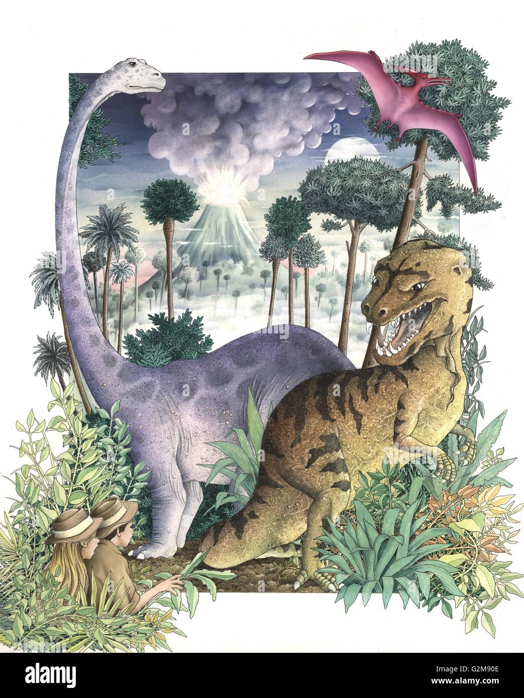 People looking at dinosaurs hi-res stock photography and images - Alamy