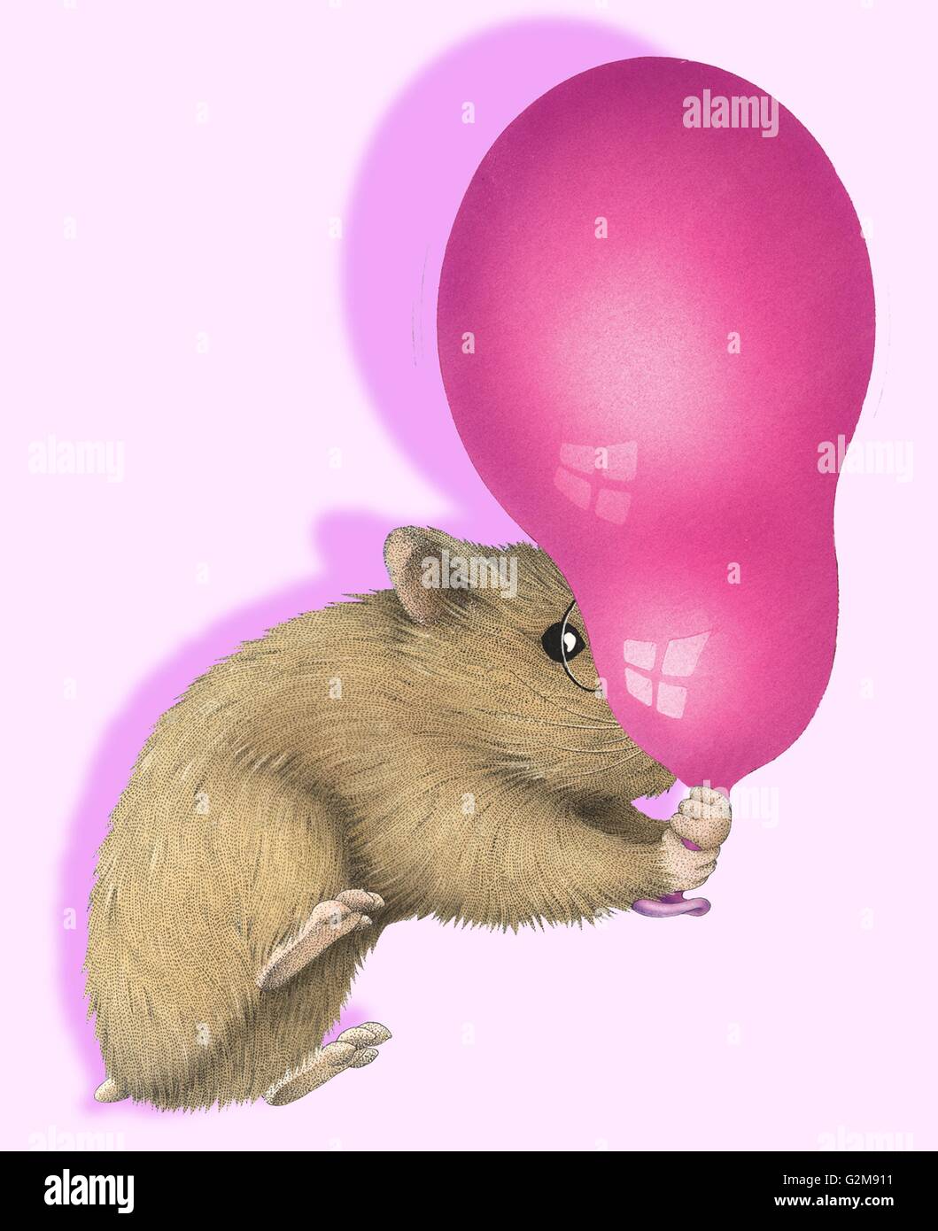 Hamster blowing balloon Stock Photo - Alamy