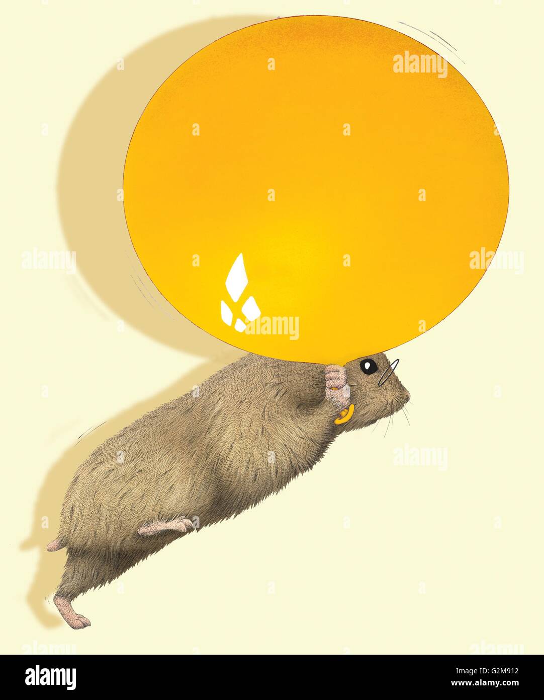 Hamster illustrations hi-res stock photography and images - Alamy