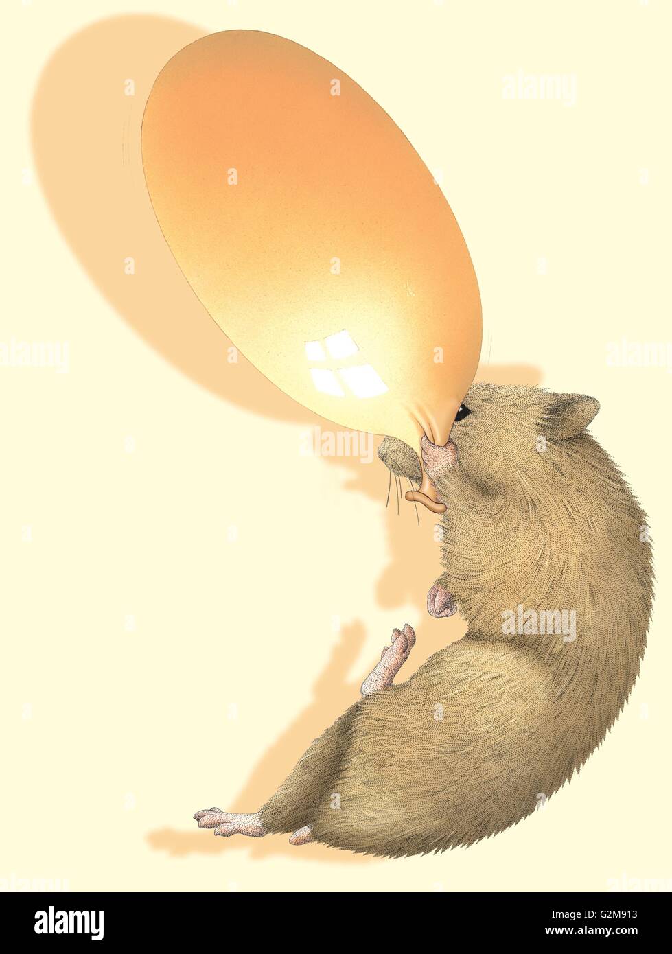 Hamster illustrations hi-res stock photography and images - Alamy