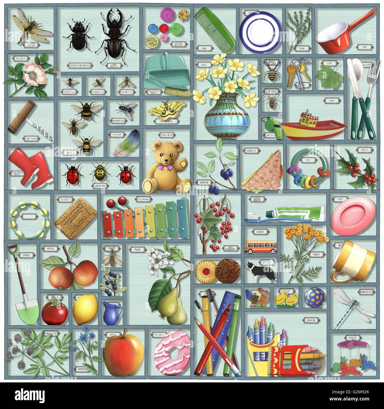 Objects insects hi-res stock photography and images - Alamy