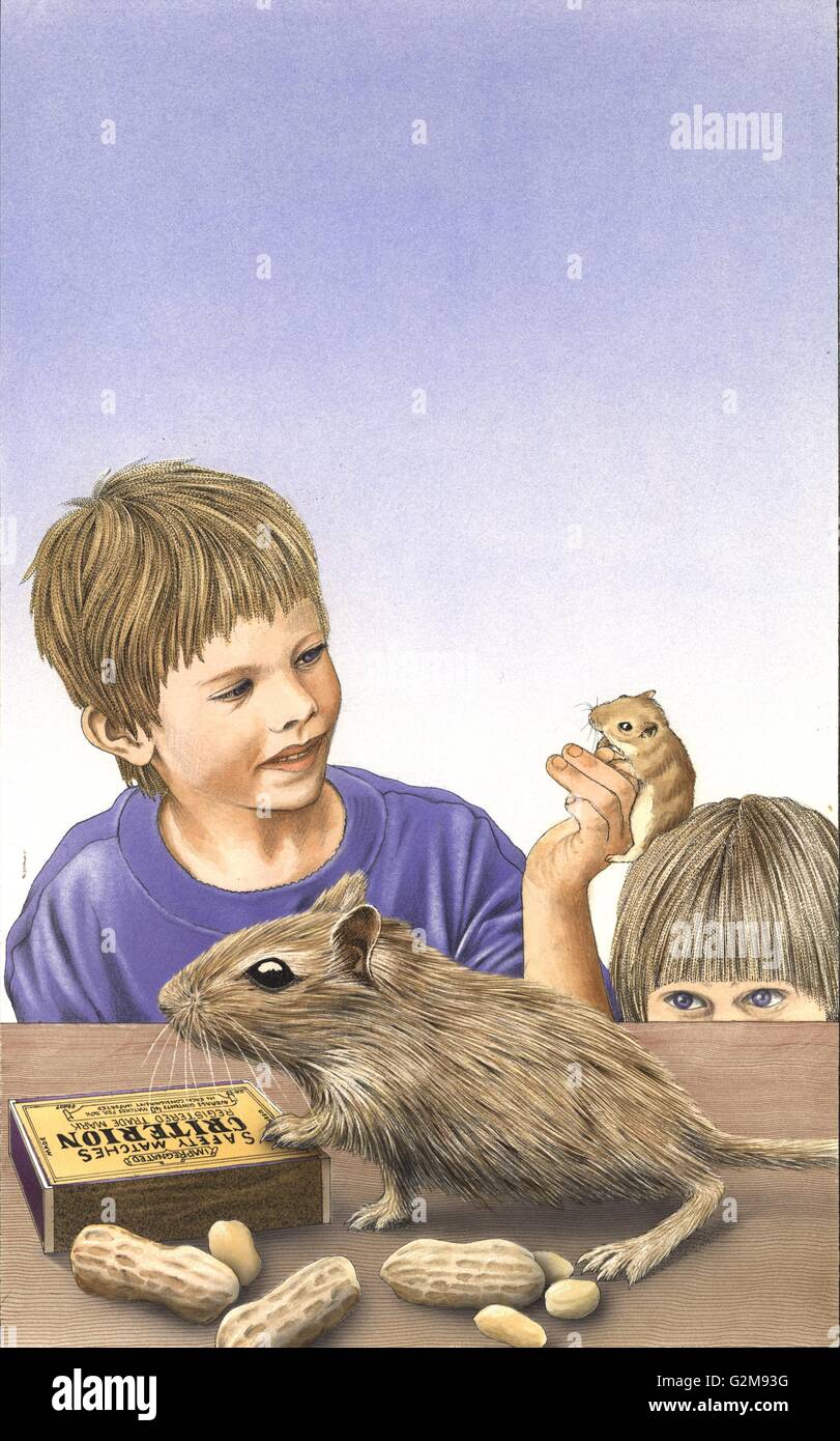 Two mice drawing hi-res stock photography and images - Alamy