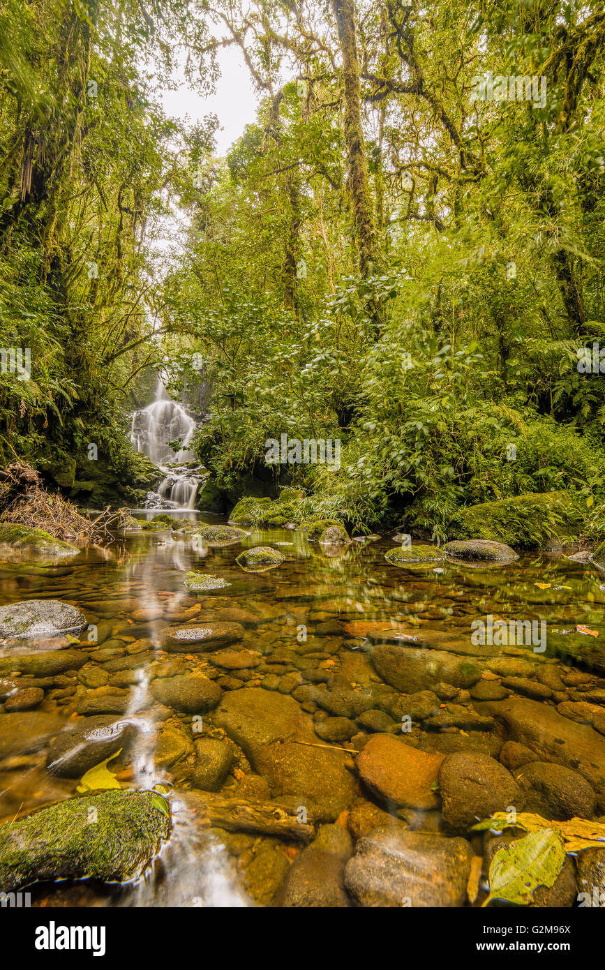 River and Waterfall flowing through green mold rocks at Cerro Dantas ...