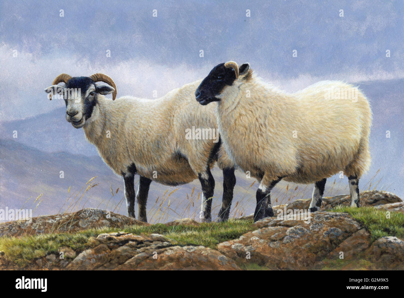 Landscape of goats hi-res stock photography and images - Alamy