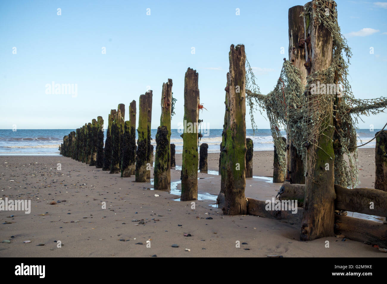 Weathered sea defenses on a beach Stock Photo - Alamy
